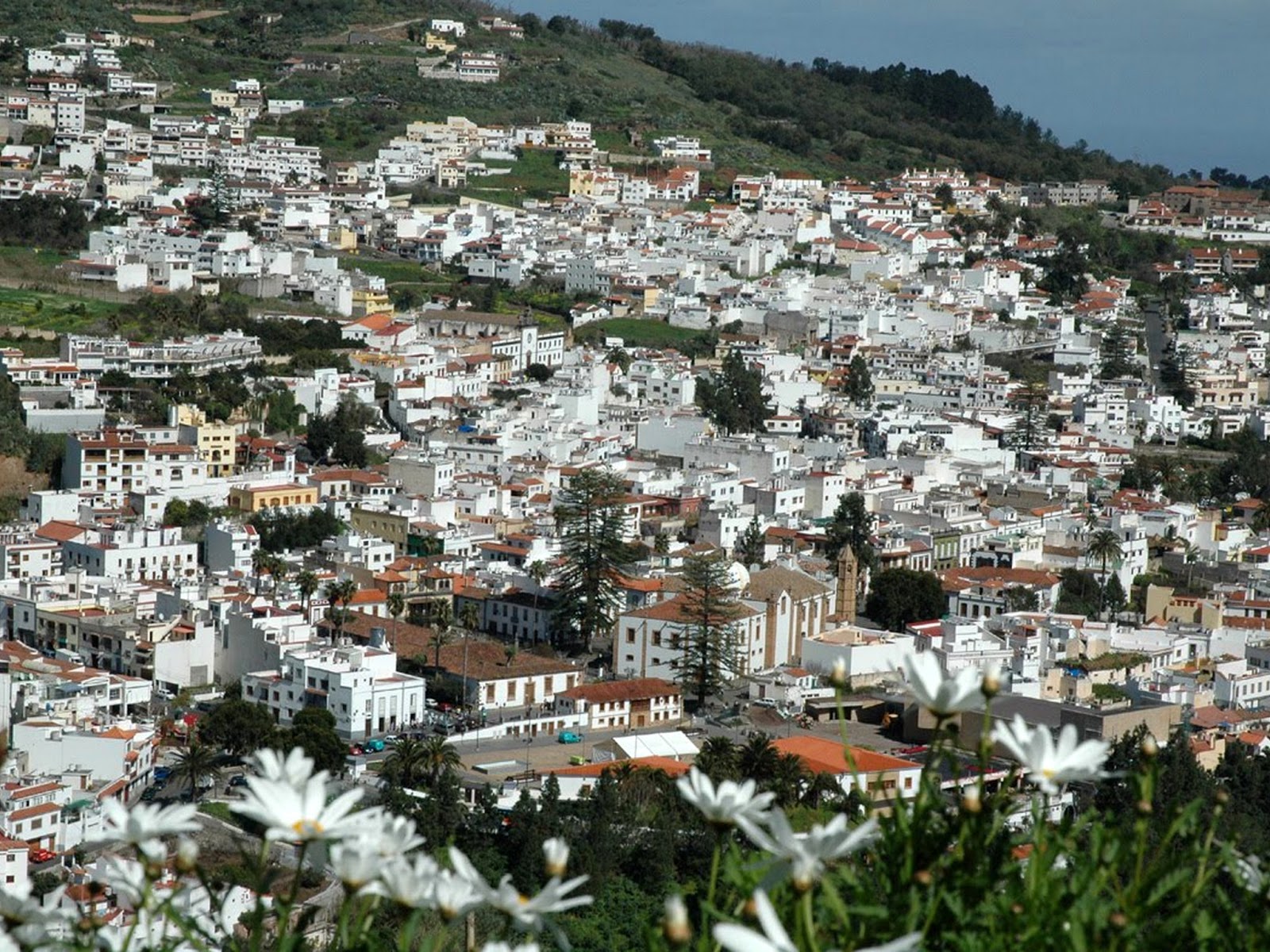 Cosas que Hacer en Valleseco - Canarias Confidencial