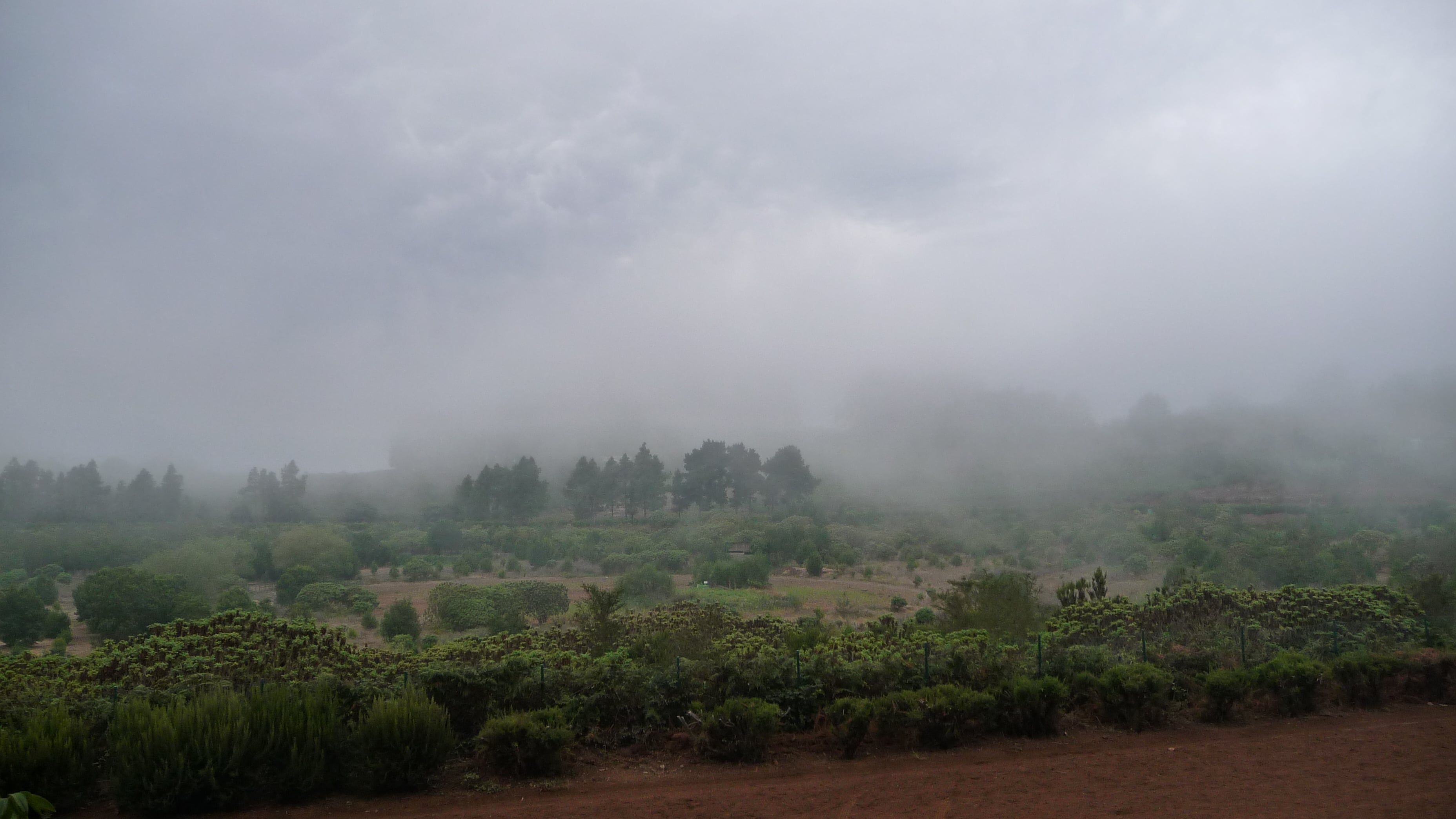 Cosas que Hacer en Valleseco - Canarias Confidencial